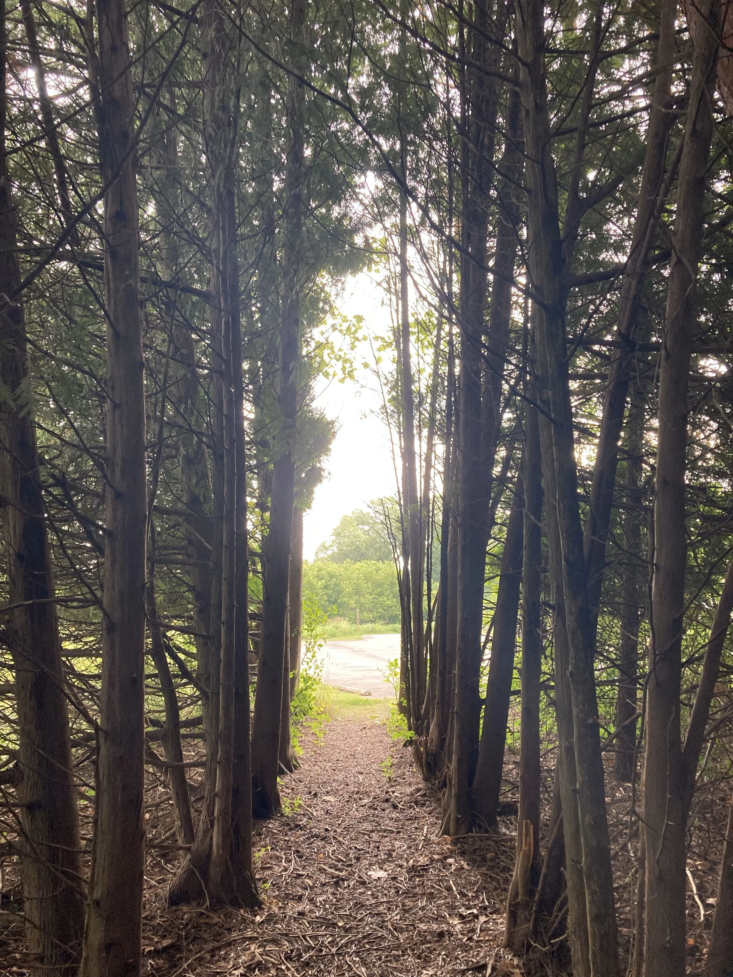 About | Discover Our Journey — Emery Behavioral Health Services, Inc.