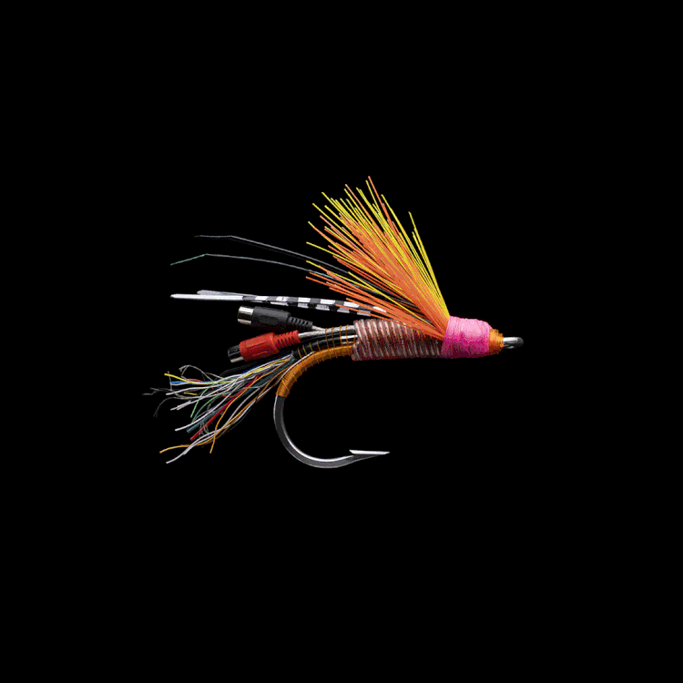 Big Fly Big Fish | Fly Fishing Art