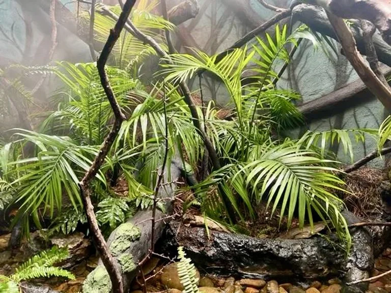 Reptilandia - Reptile Lagoon