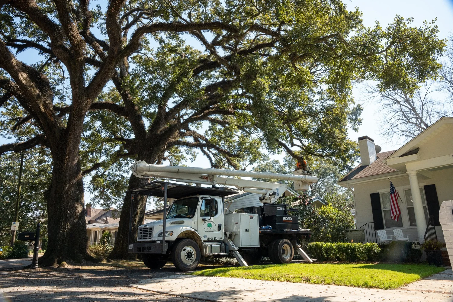 Jay Eubanks Tree Service