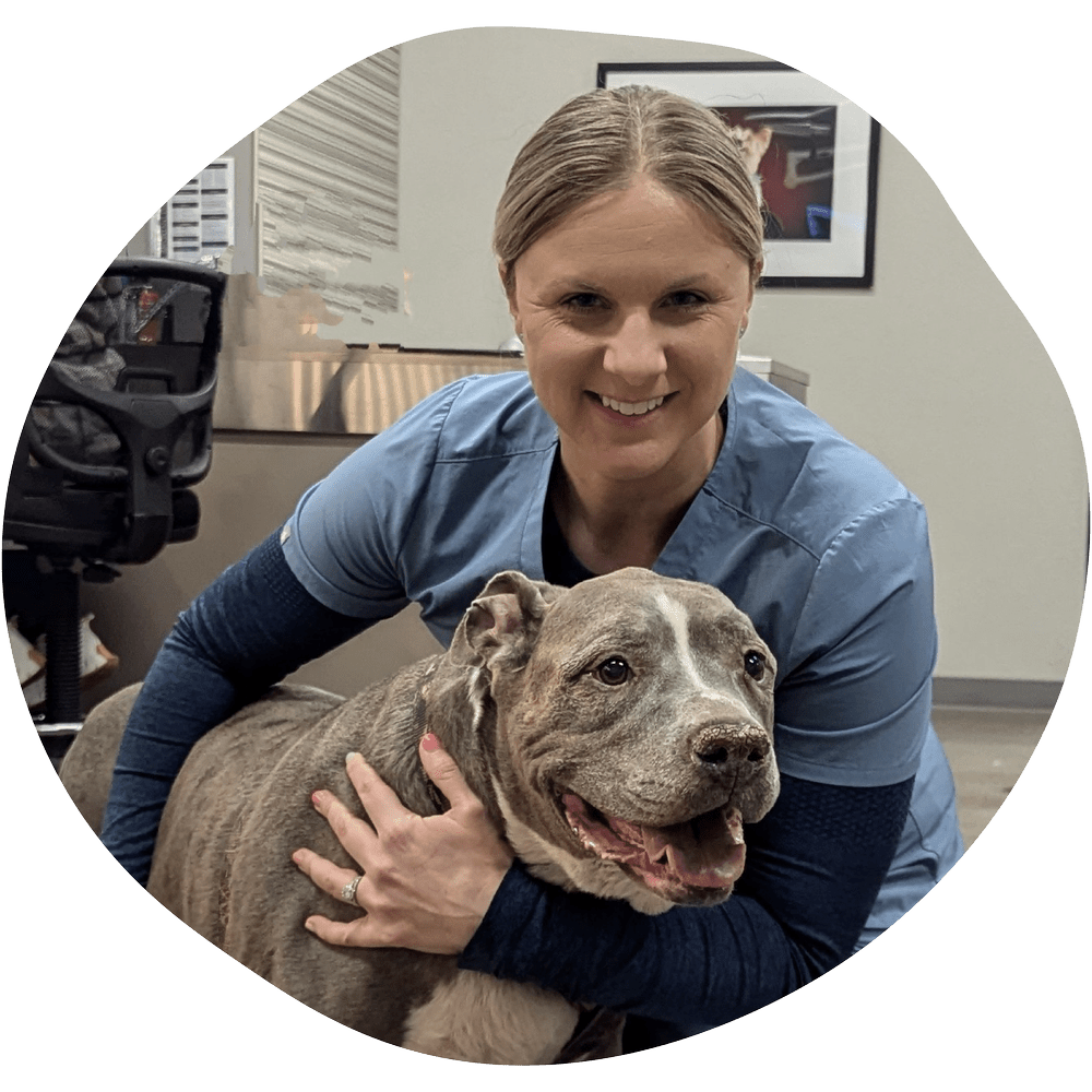 VetMed — Lemon Collaborative