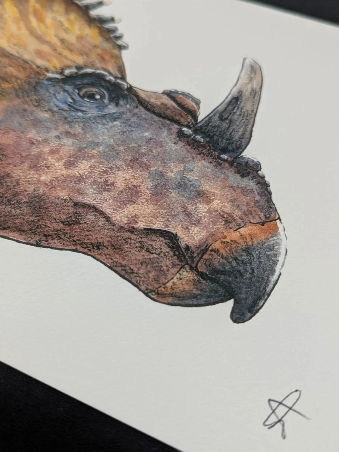 sinoceratops paleoart drawing — Lee Brown Paleoart