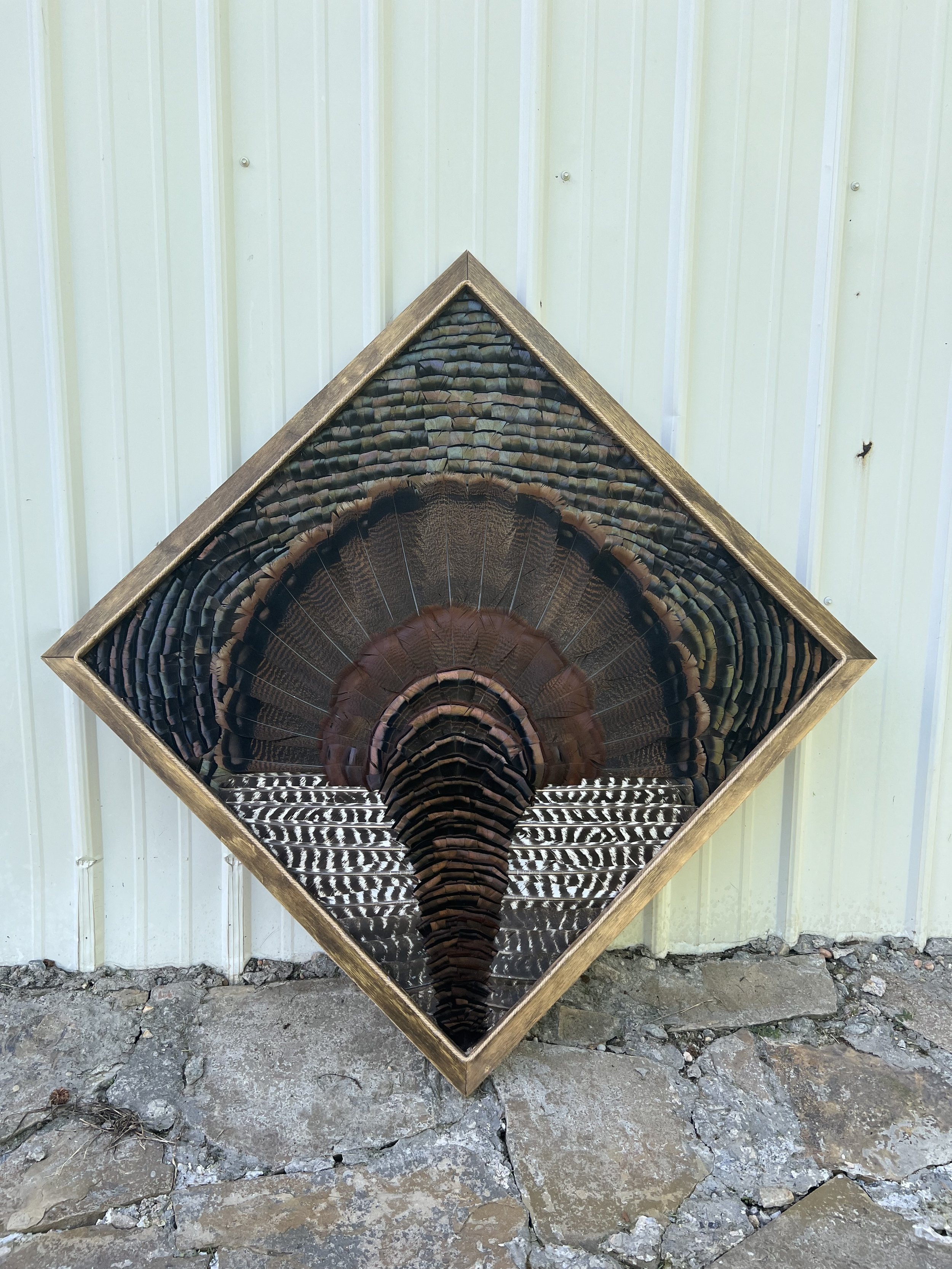 Feather Mounts — Kyli Strickland Taxidermy