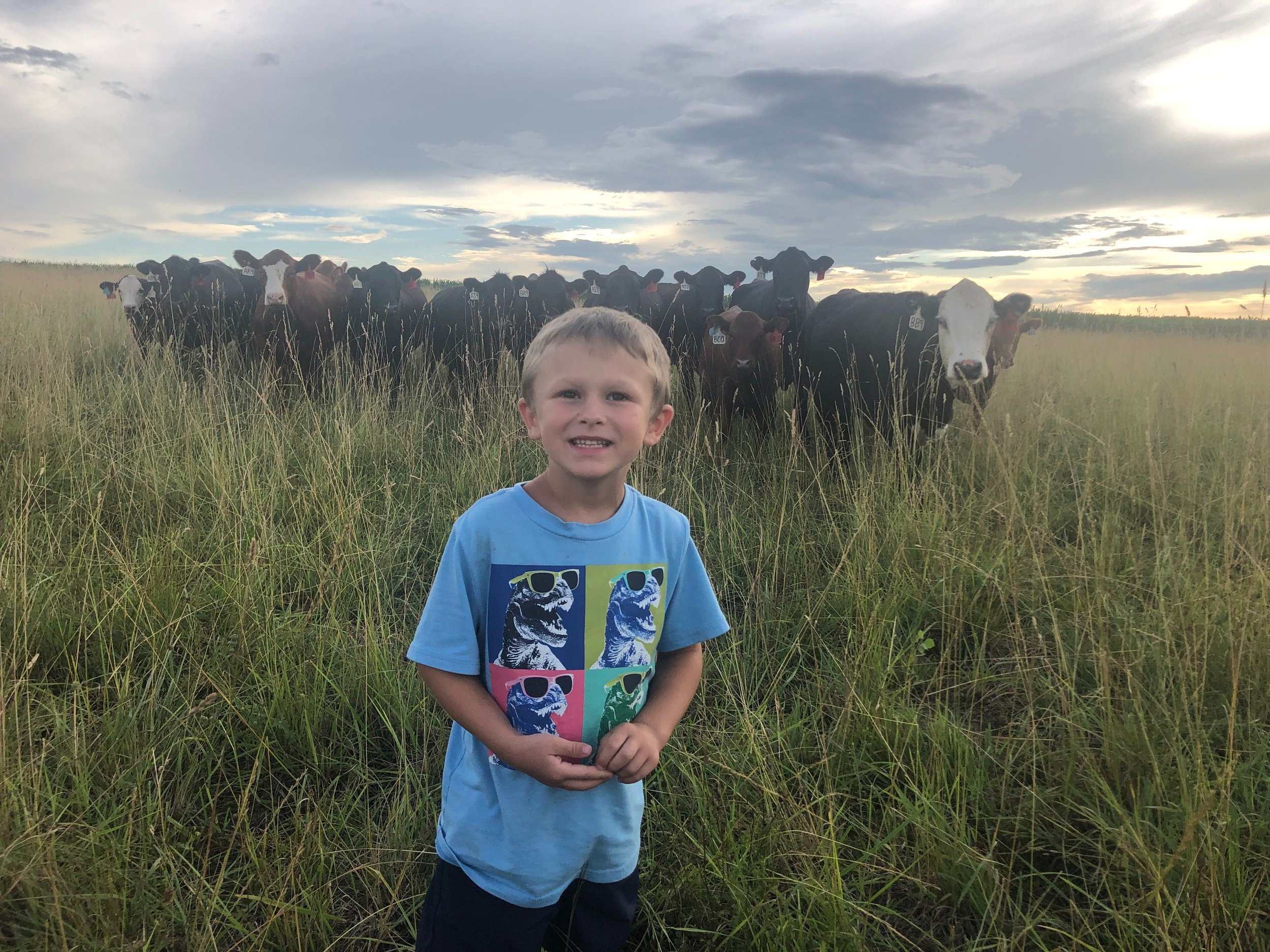 Dressman Land and Livestock LLC | Pasture-Raised Beef | Farm-Fresh Eggs ...