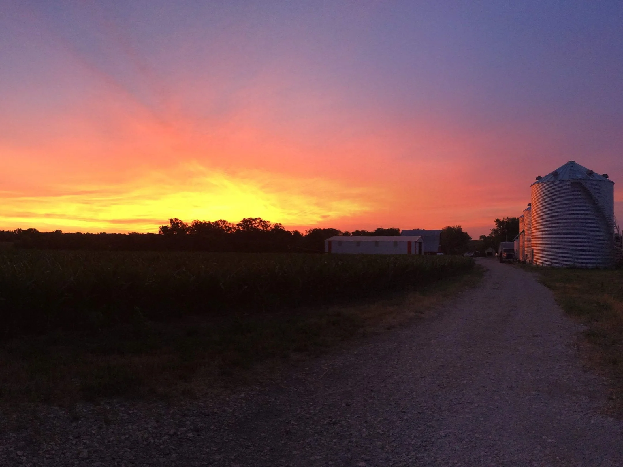 Dressman Land and Livestock LLC | Pasture-Raised Beef | Farm-Fresh Eggs ...