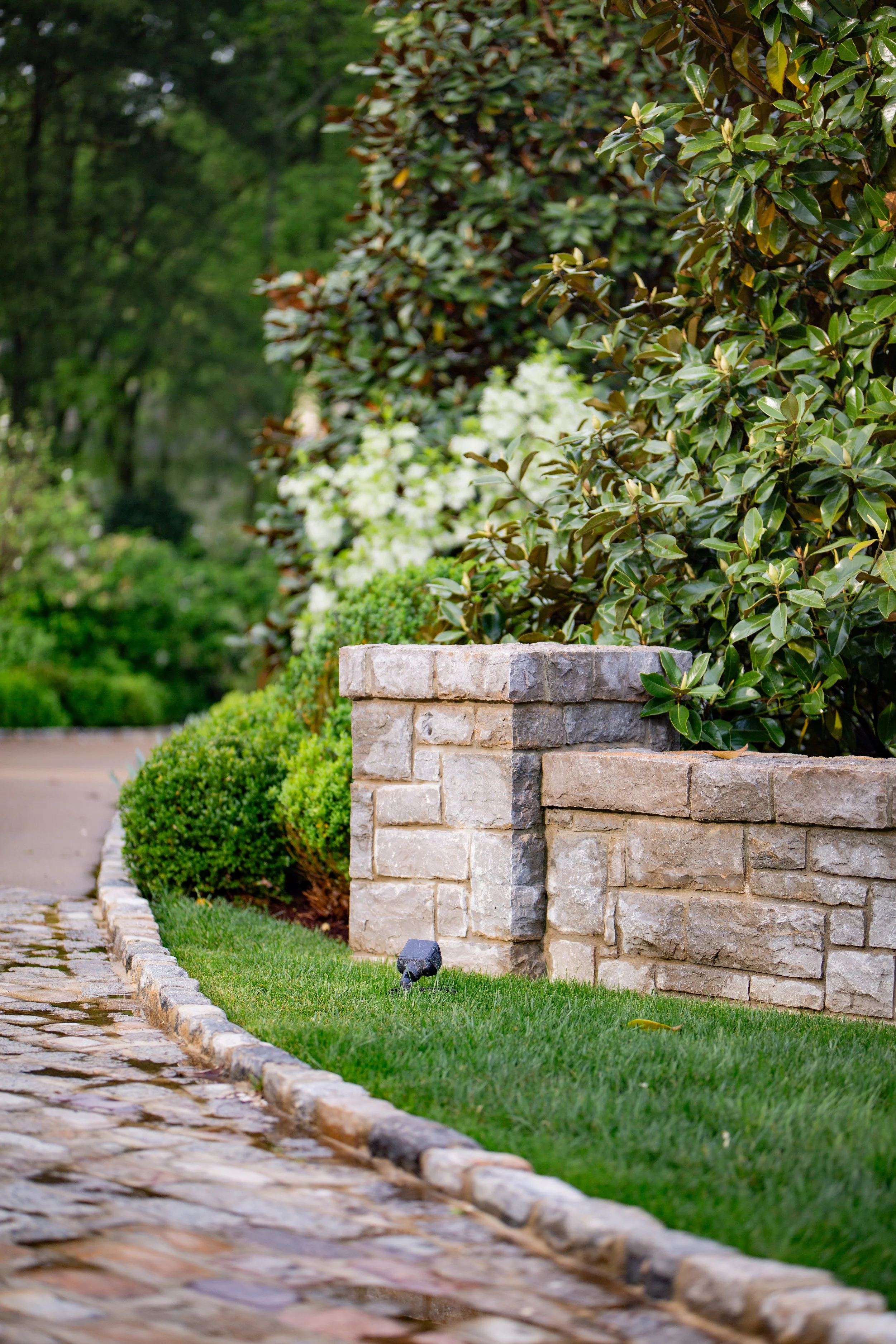 Tara Armistead Landscape Architecture