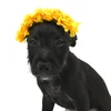 Meows and Mutts Rescue