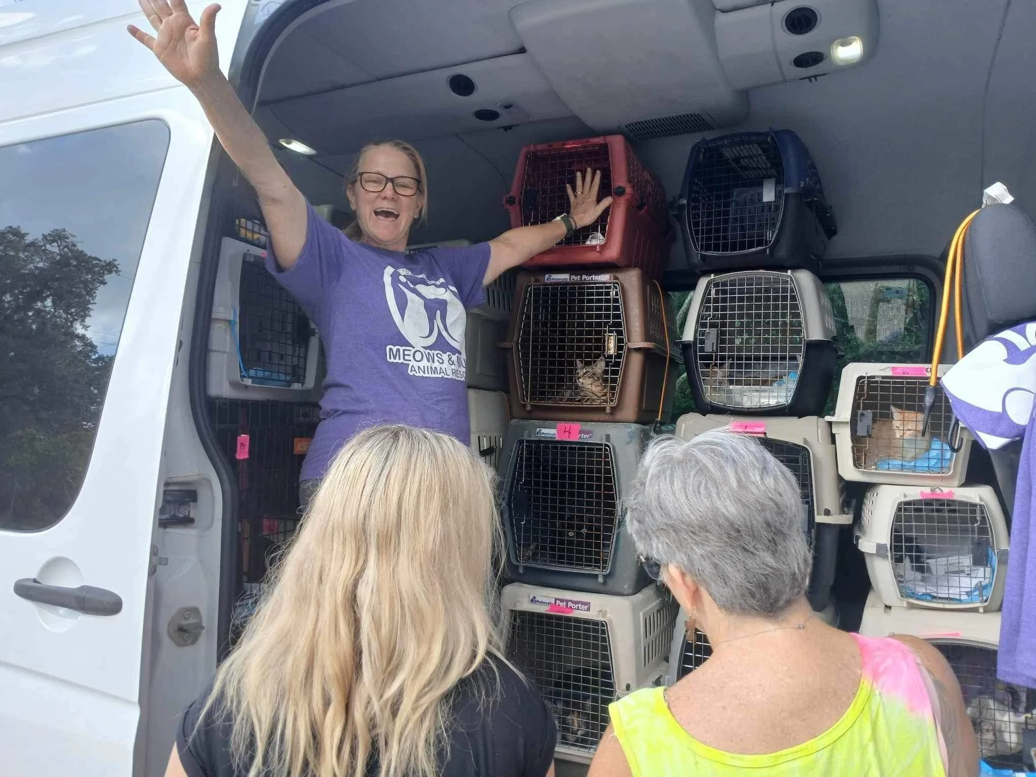 Get Involved — Meows and Mutts Rescue