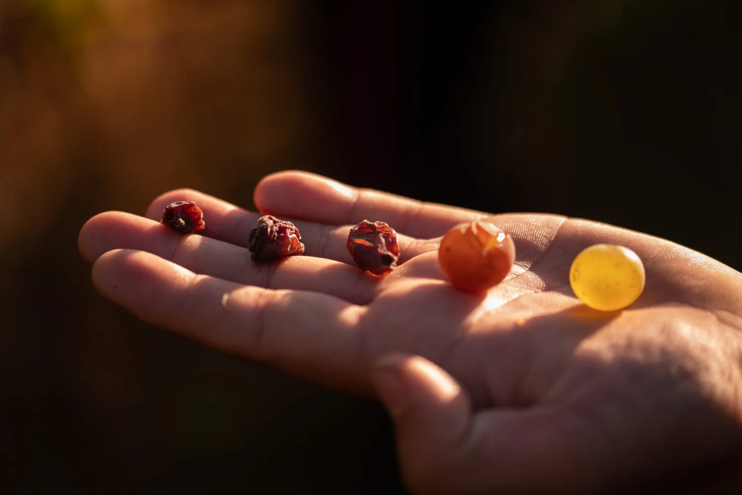 Welcome to Tokaj — OREMUS