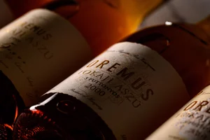 Welcome to Tokaj — OREMUS