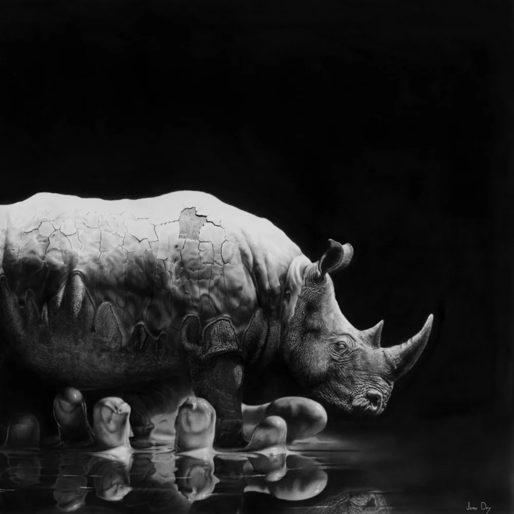 General 4 — Jono Dry Art