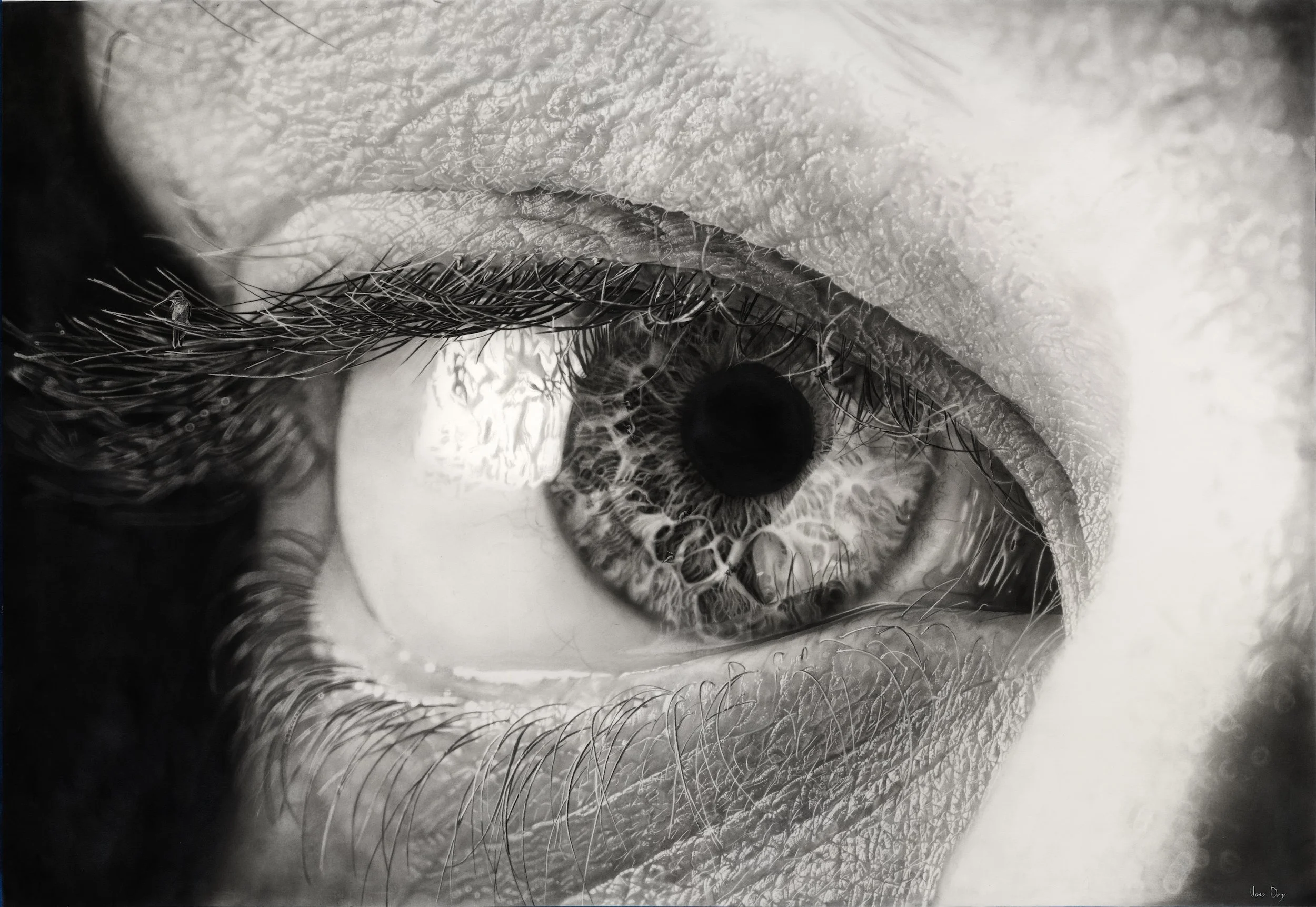 Eyes — Jono Dry Art