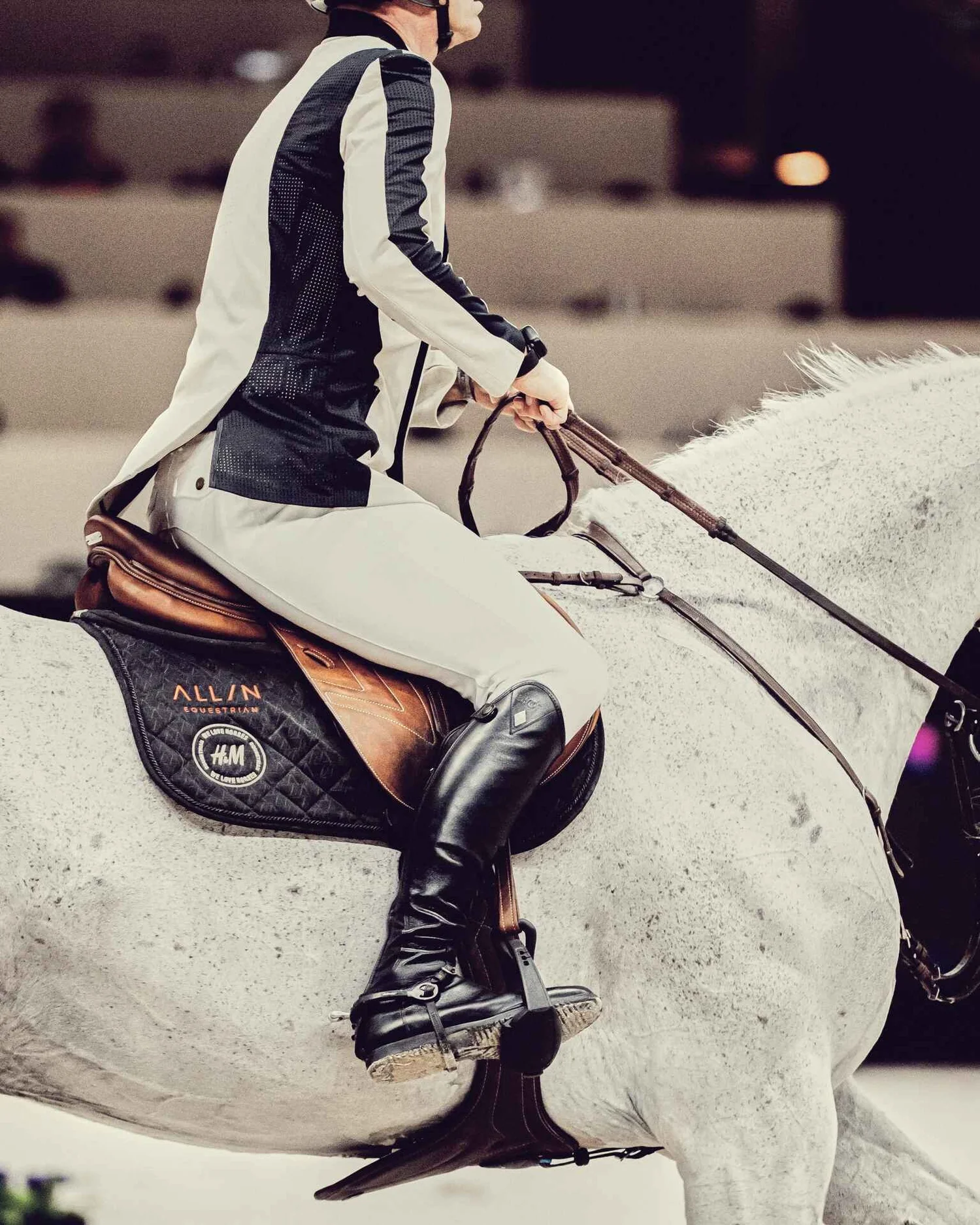 All In Equestrian