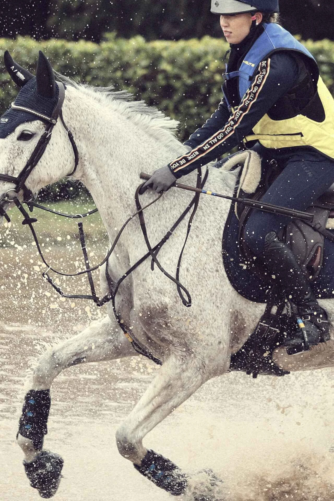 All In Equestrian