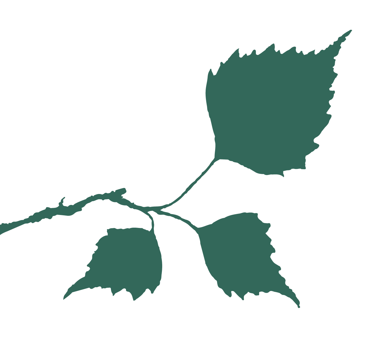 Safe and sustainable Nitrous Oxide (N2O) systems | Medclair