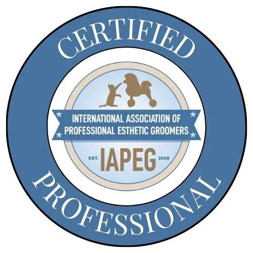 Canine Stylist Diploma — The WPGA