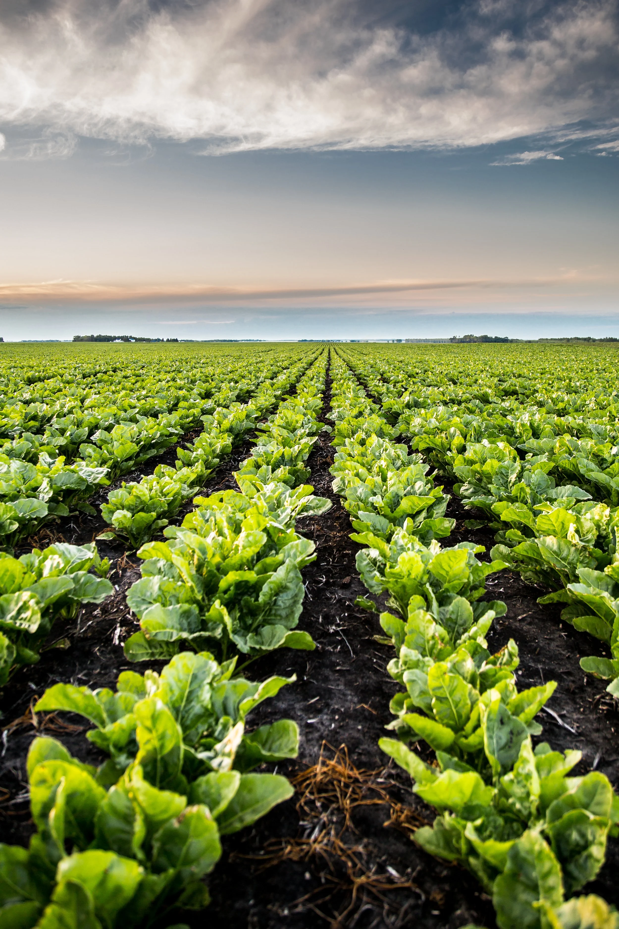 PrimeAg Solutions | Precision Planting & Trimble Agriculture Service in ...