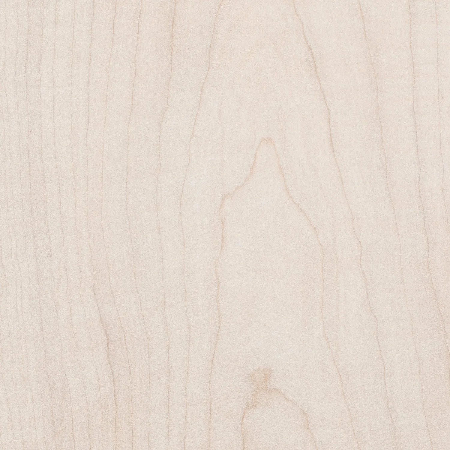Babbidge Coffee Table — Parker Burkhart