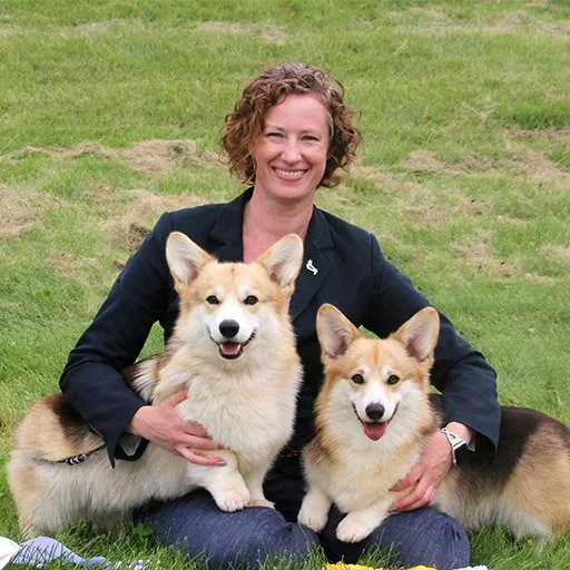 Pembroke Welsh Corgi Club of Southern California 2025 Specialty — PWCCSC