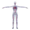 Accessories | Nventric | Medical Devices