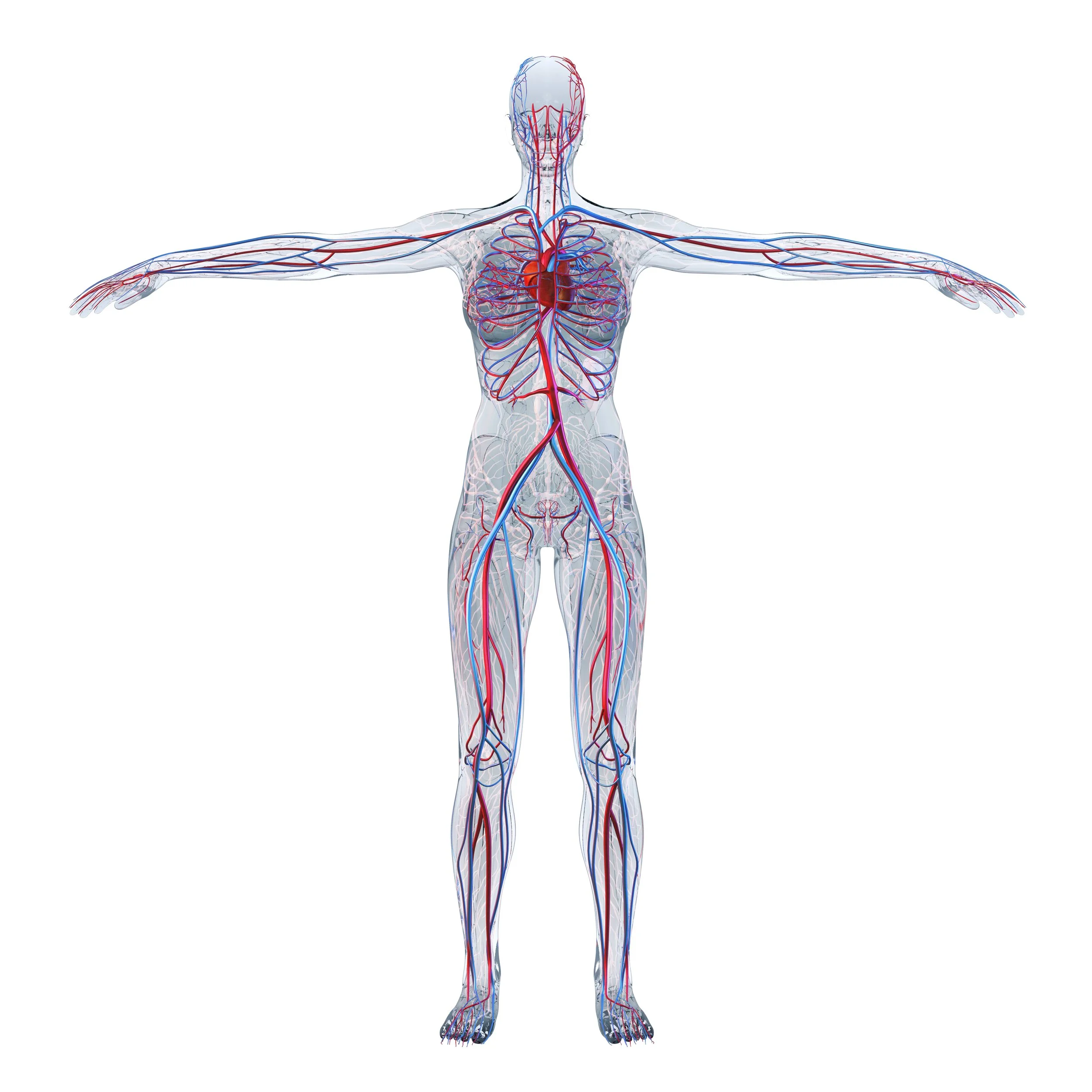 Accessories | Nventric | Medical Devices