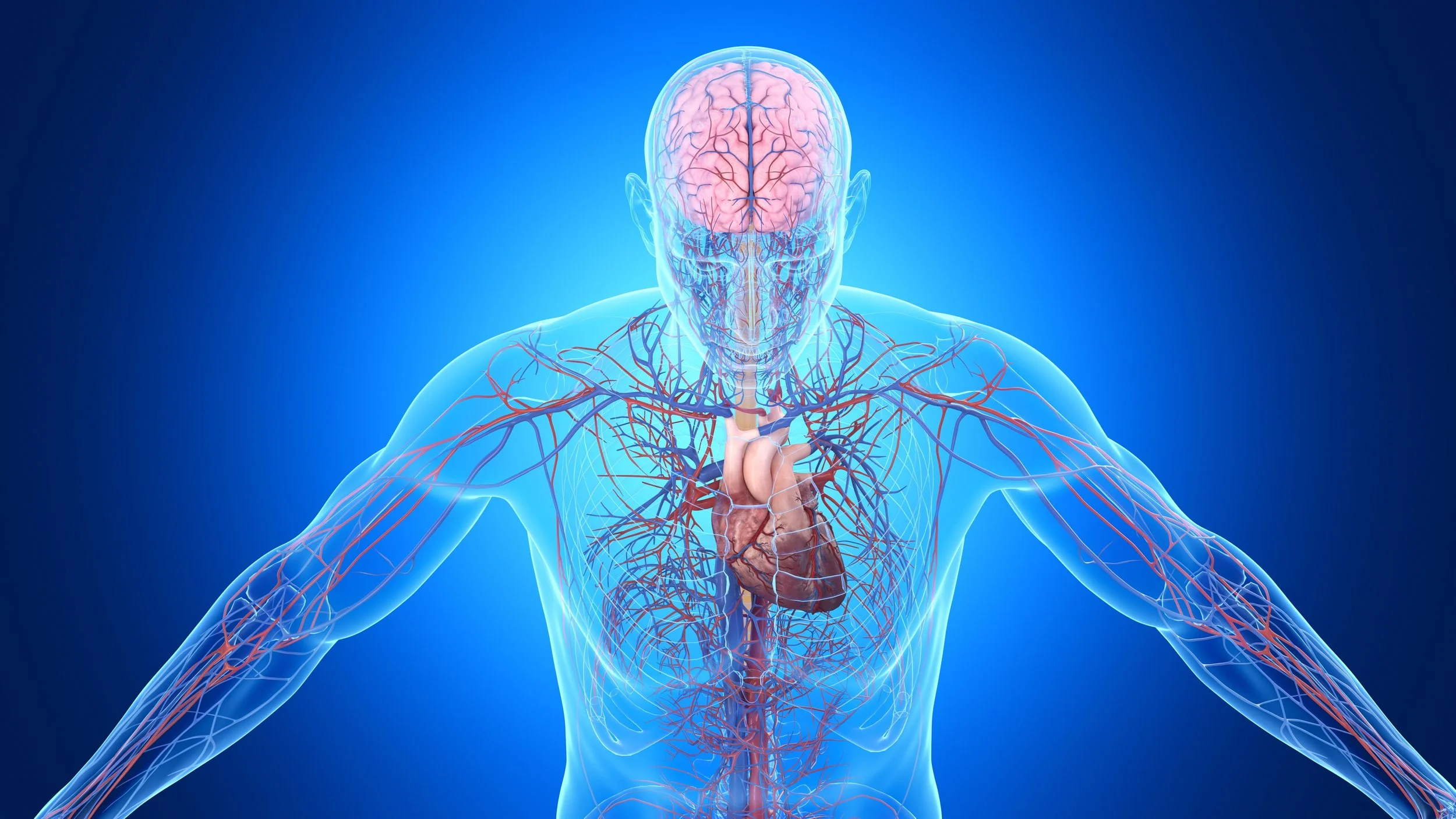 Services | Nventric | Medical Devices