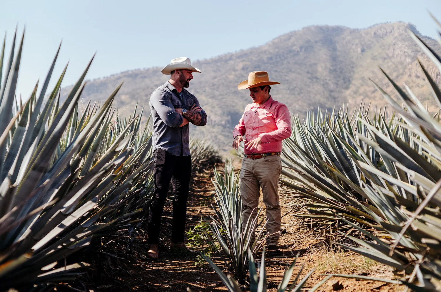 Dios Azul Premium Tequila