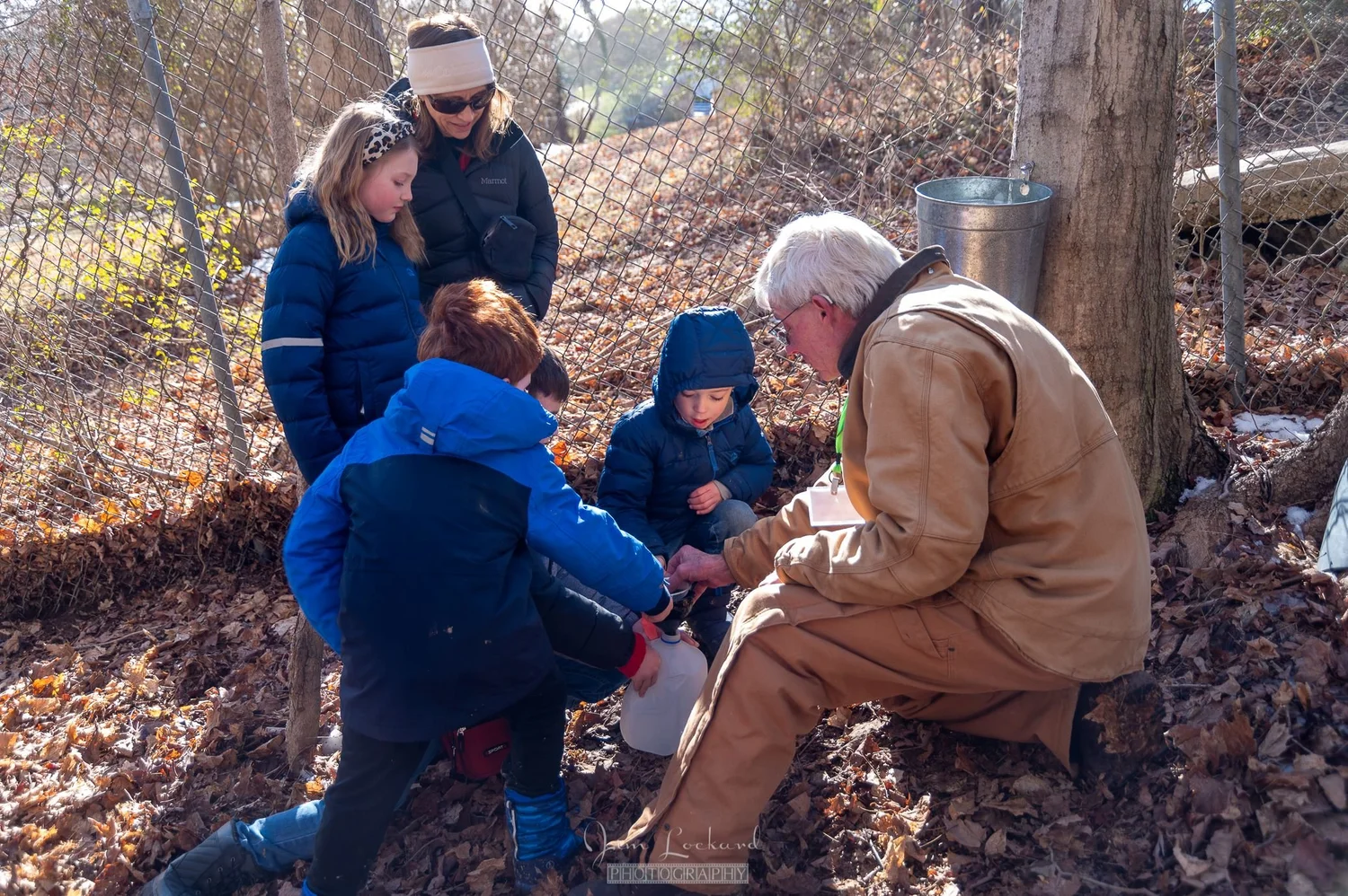 Maple Magic — LADEW TOPIARY GARDENS