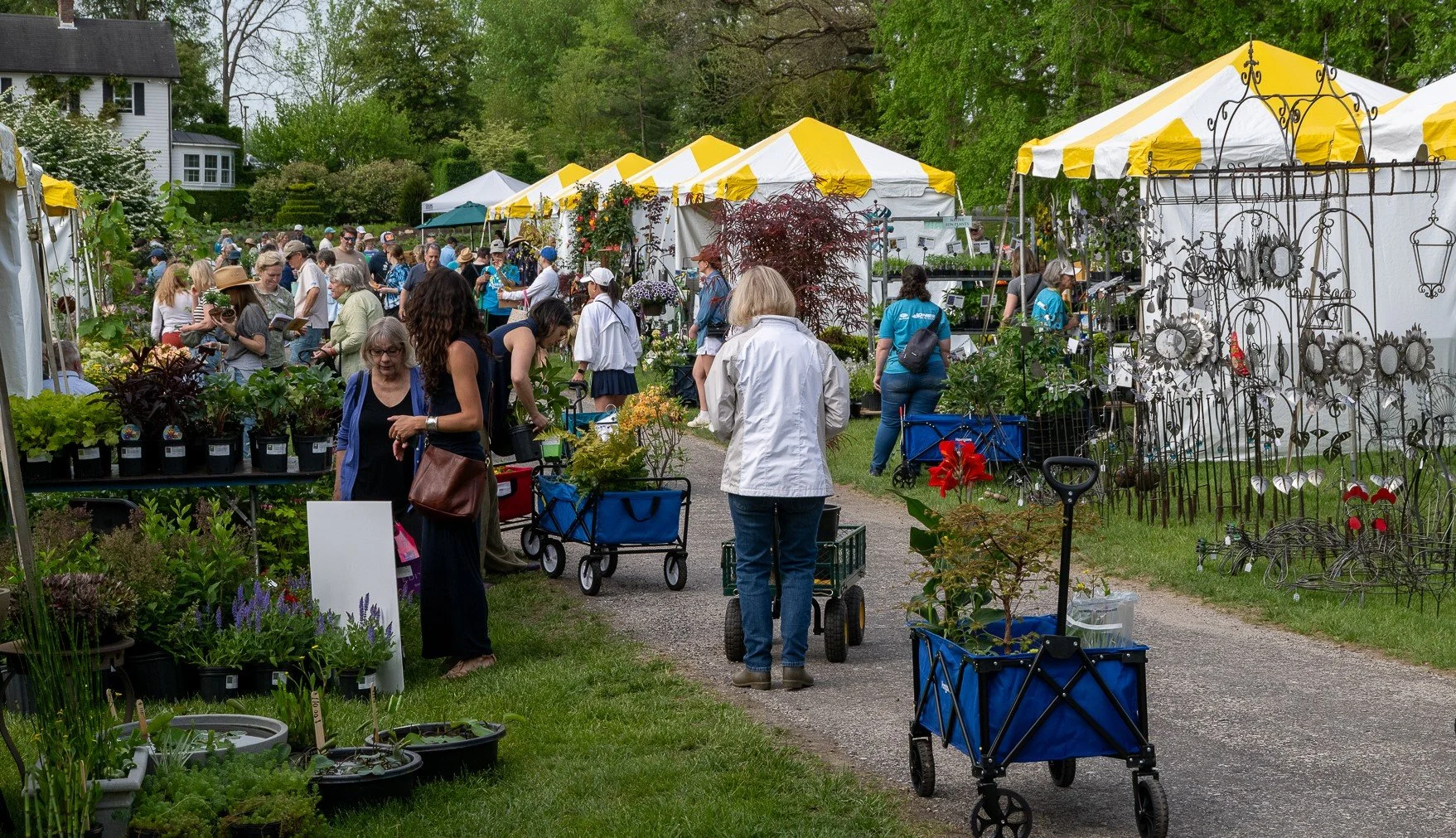 Garden Festival — LADEW TOPIARY GARDENS