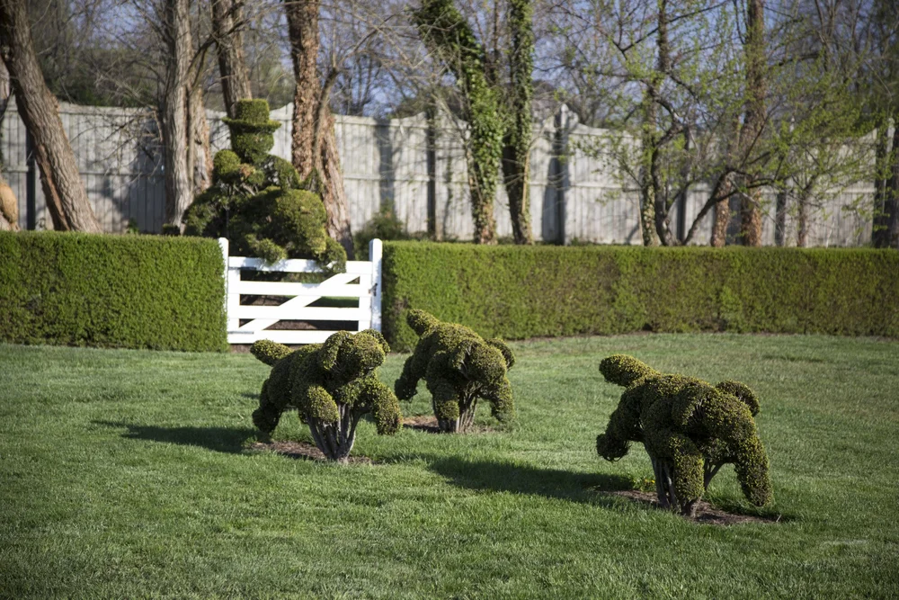 FAQs — LADEW TOPIARY GARDENS