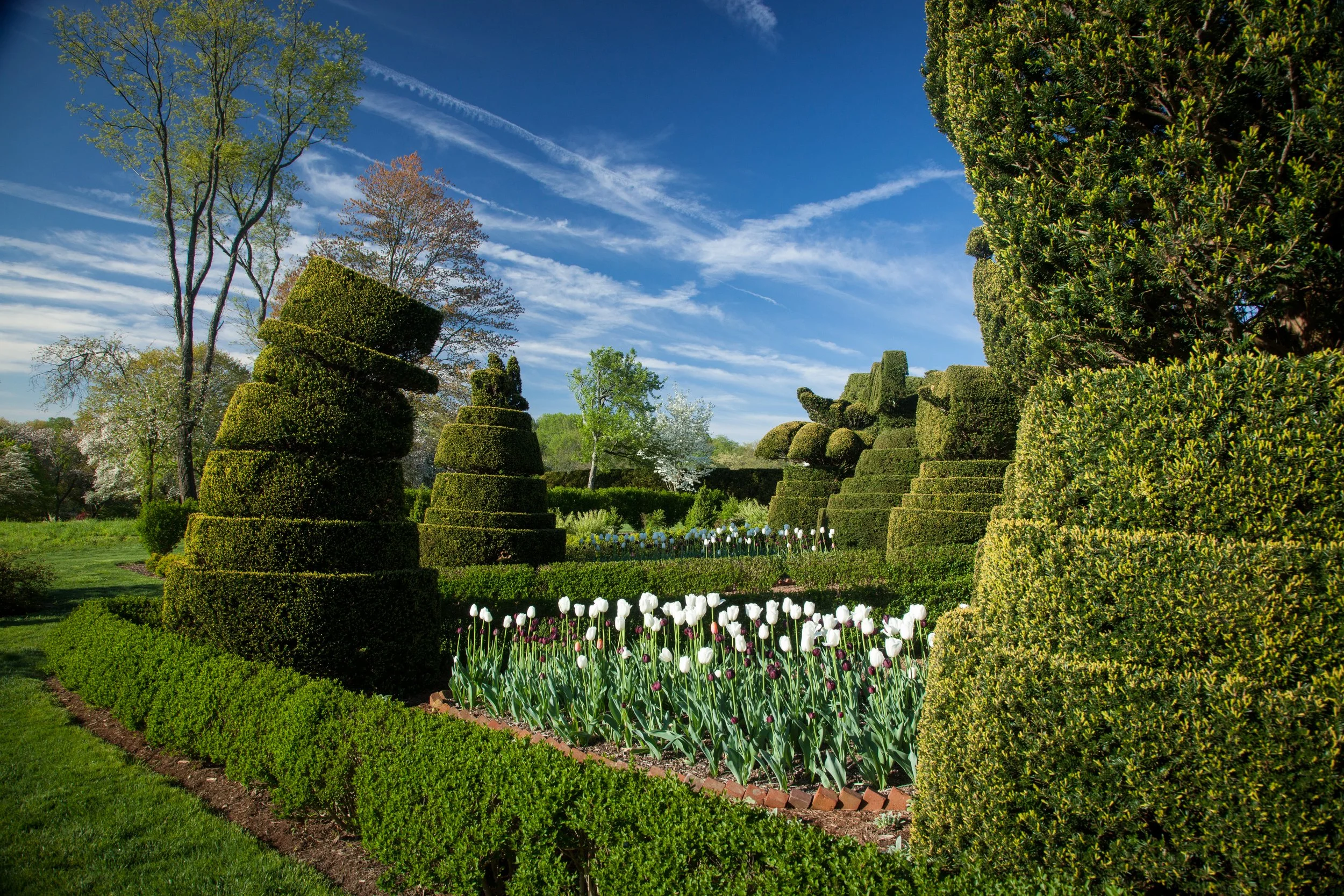 History — LADEW TOPIARY GARDENS