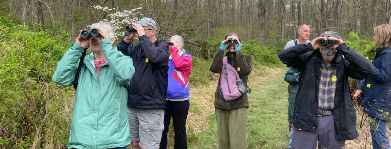 Wild Walks and Talks — LADEW TOPIARY GARDENS