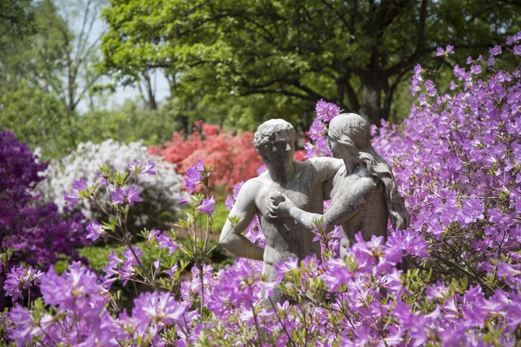 About — LADEW TOPIARY GARDENS
