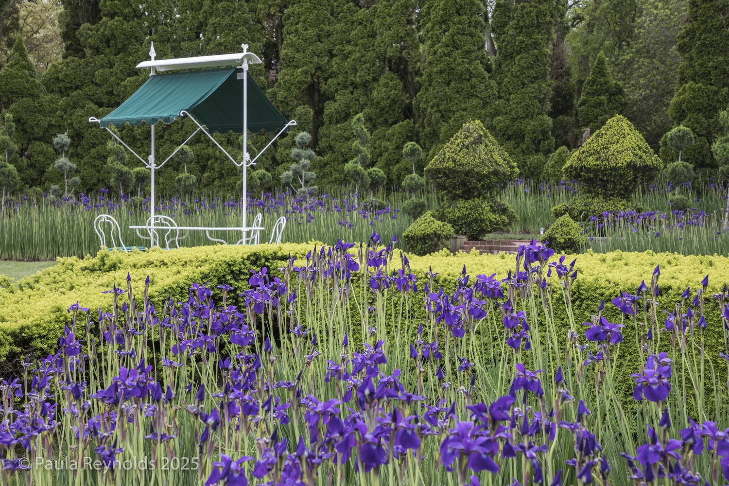 Events At Ladew — LADEW TOPIARY GARDENS