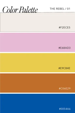 Color Palettes for the Rebel Brand Archetype — Hey Sara Schultz