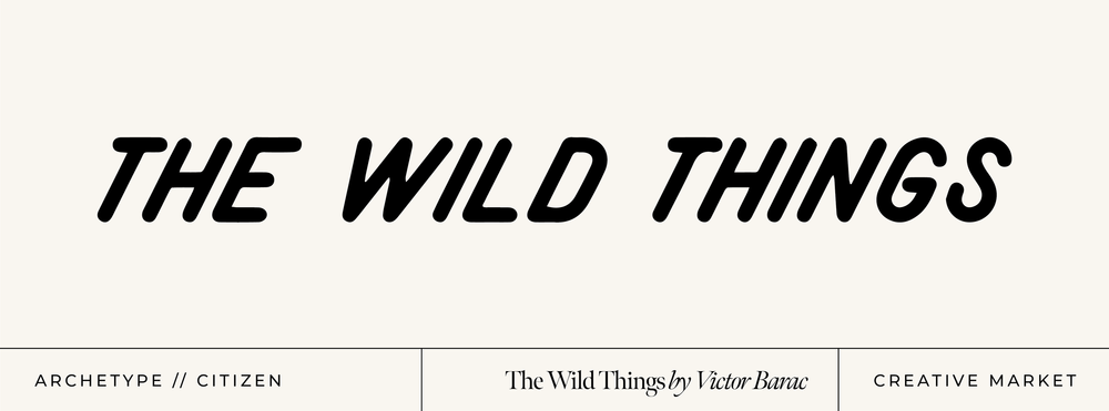 Citizen: Fonts — Hey Sara Schultz