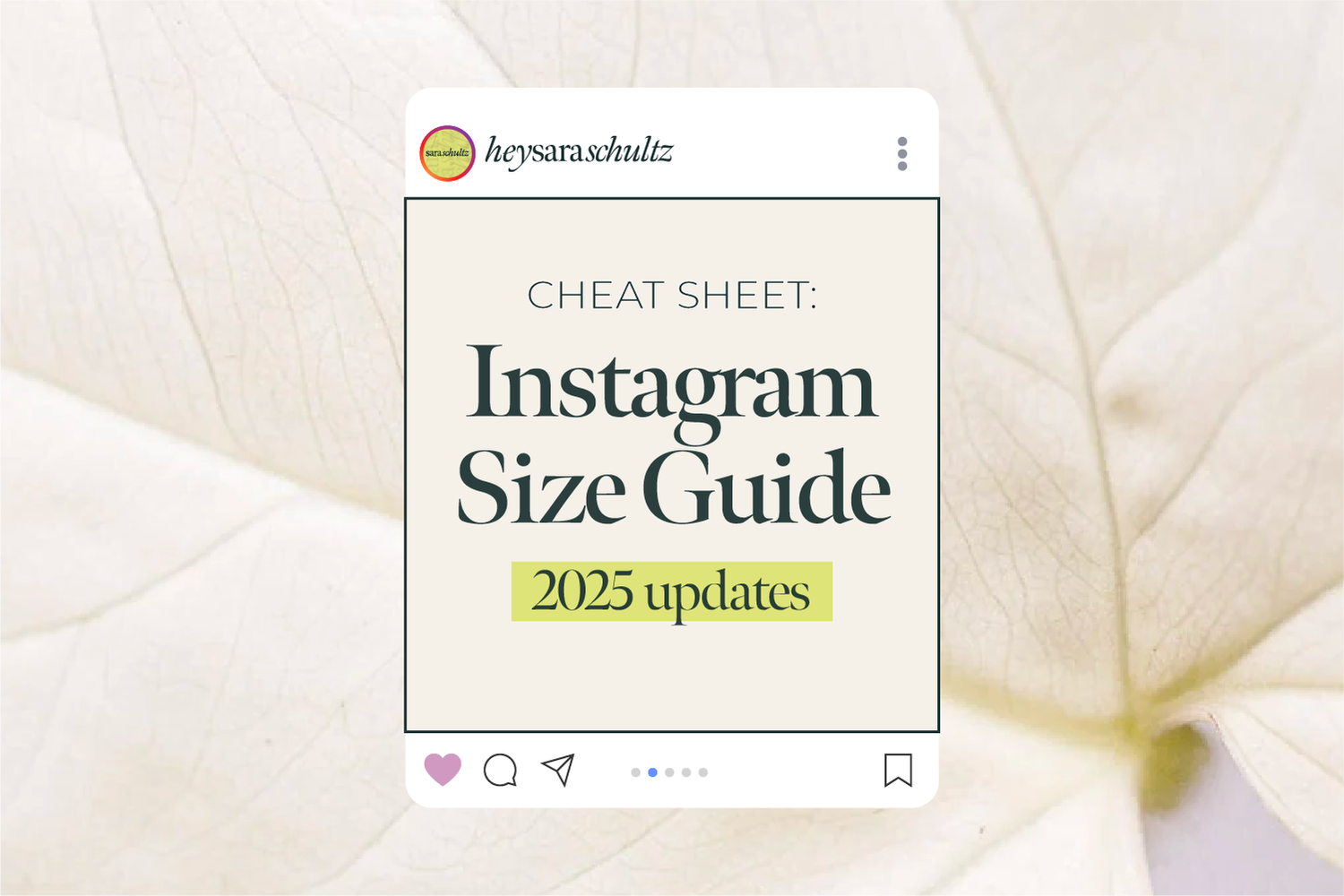 2025 Instagram Sizing Guide — Hey Sara Schultz