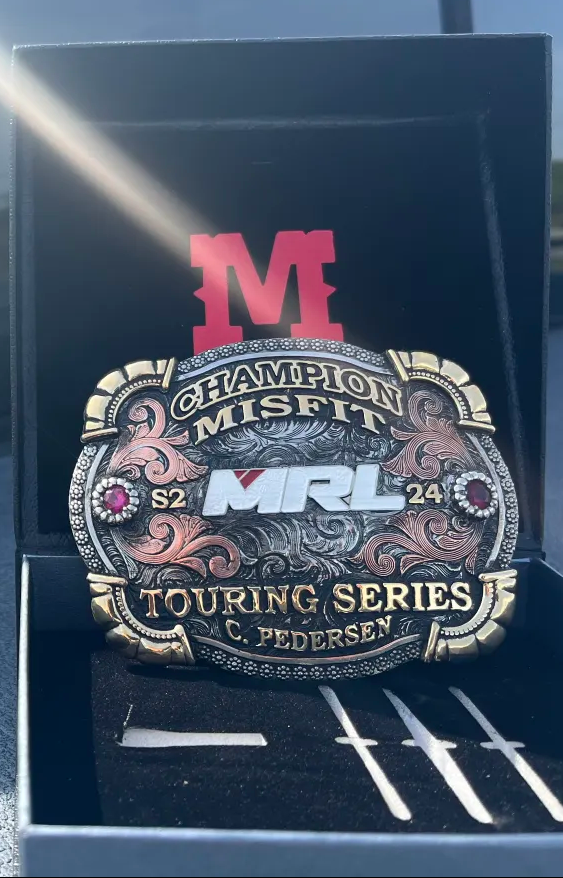 Molly's Custom Silver | Celebrate Success - Shop Custom Silver — Misfit ...