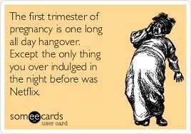 Pregnancy Memes: Hilarious Memes New Moms Need in Each Trimester ...