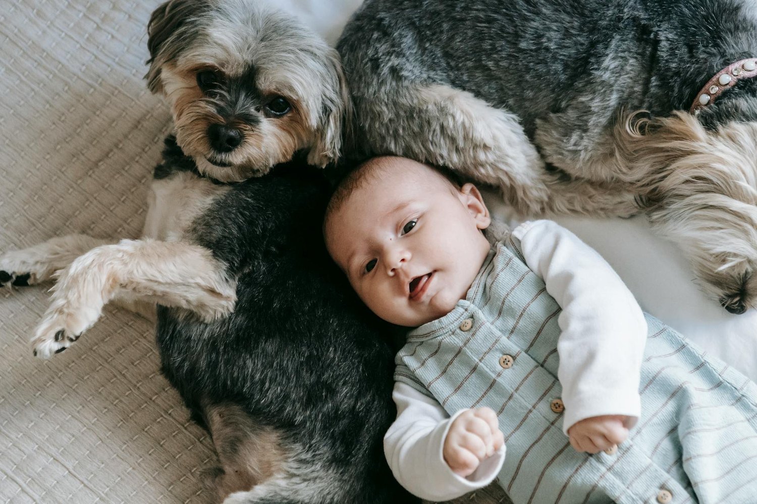 Relationships After Baby Blog | Mental Load, Communication, Intimacy ...