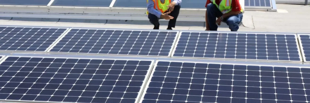 For Businesses | Optimize Your Potential — Maxeon Solar Technologies