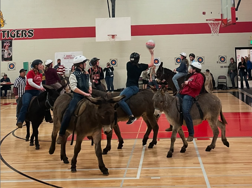 Donkey Basketball Heart — Soft Bones