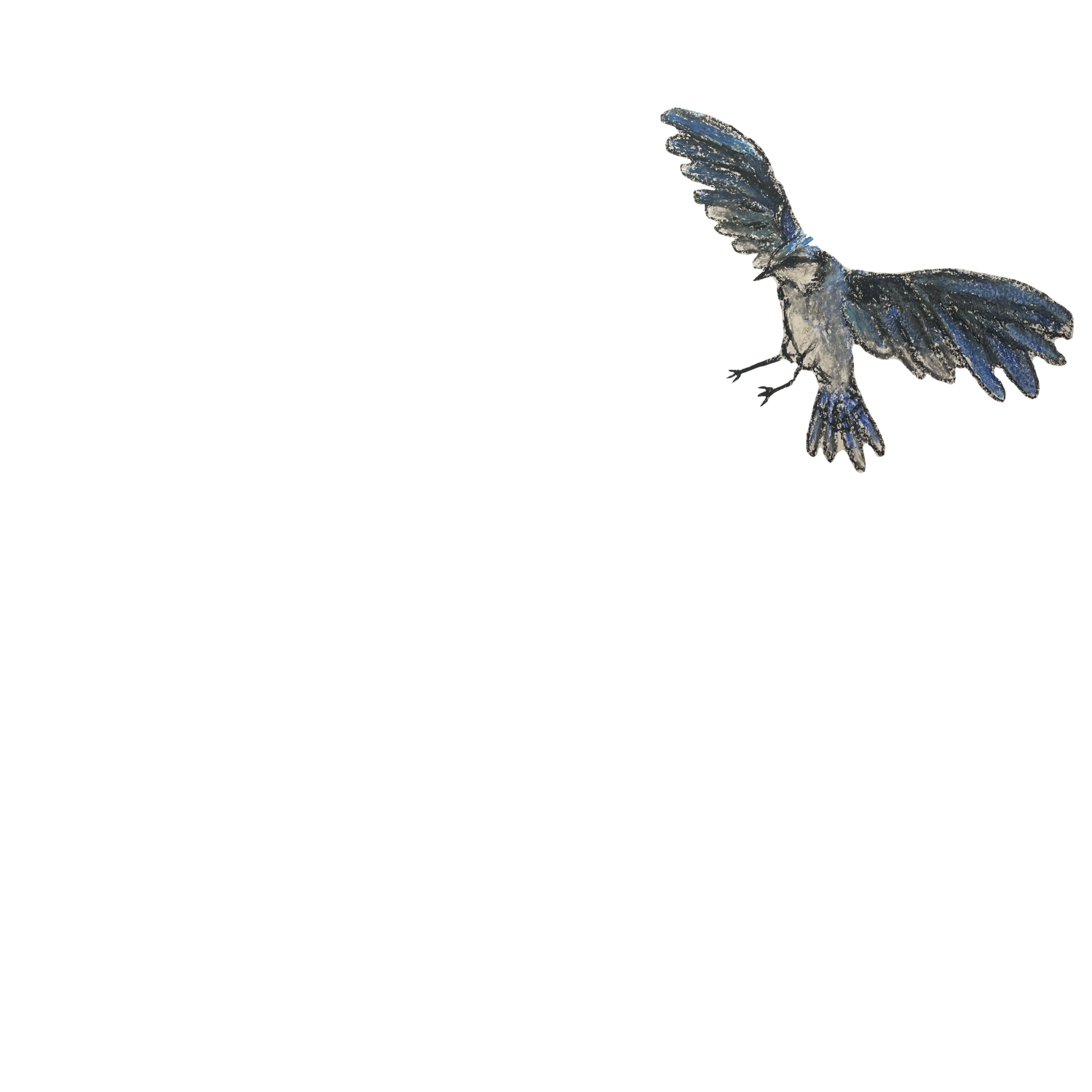 RABBITOLOGY | Official Website