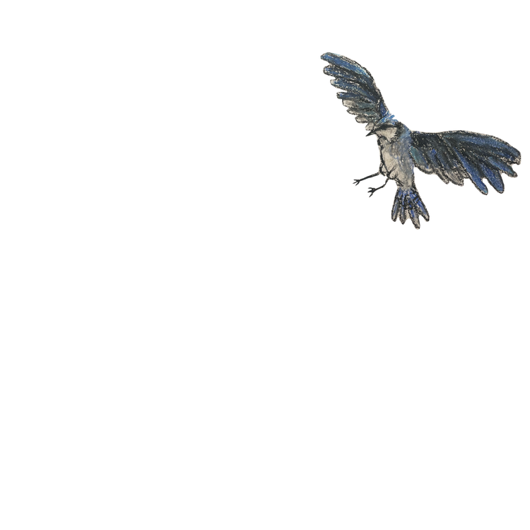 RABBITOLOGY | Official Website