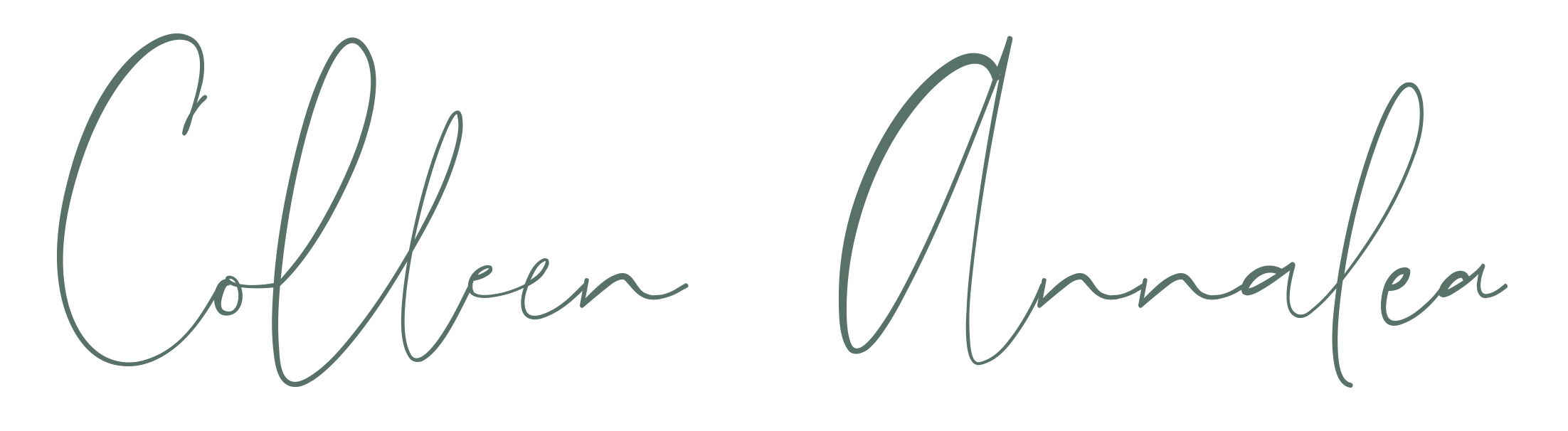 Colleen Annalea | Find Your Business Success