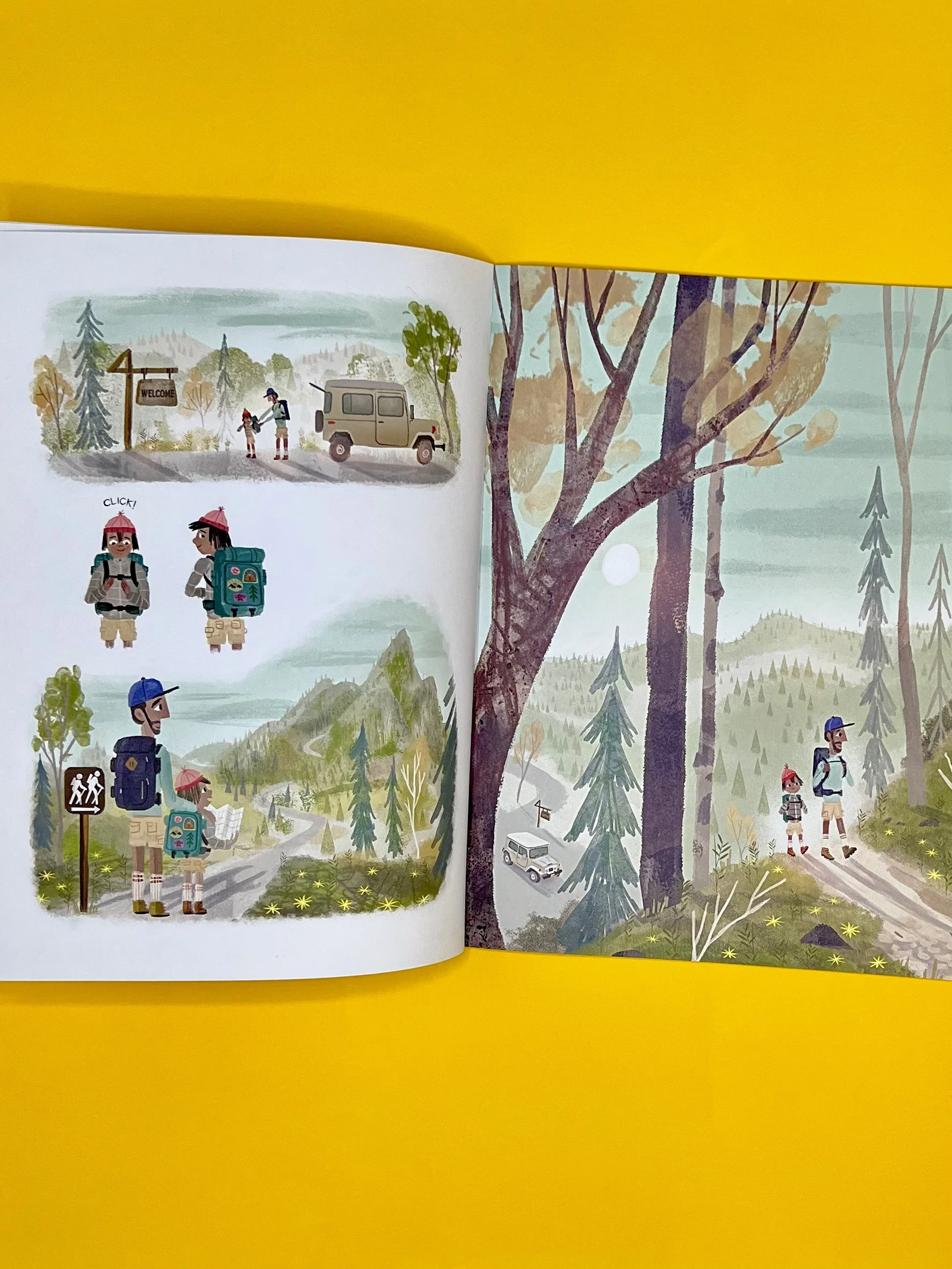 Tuesday (Paperback) by David Wiesner — Moonlight Rainbow Books