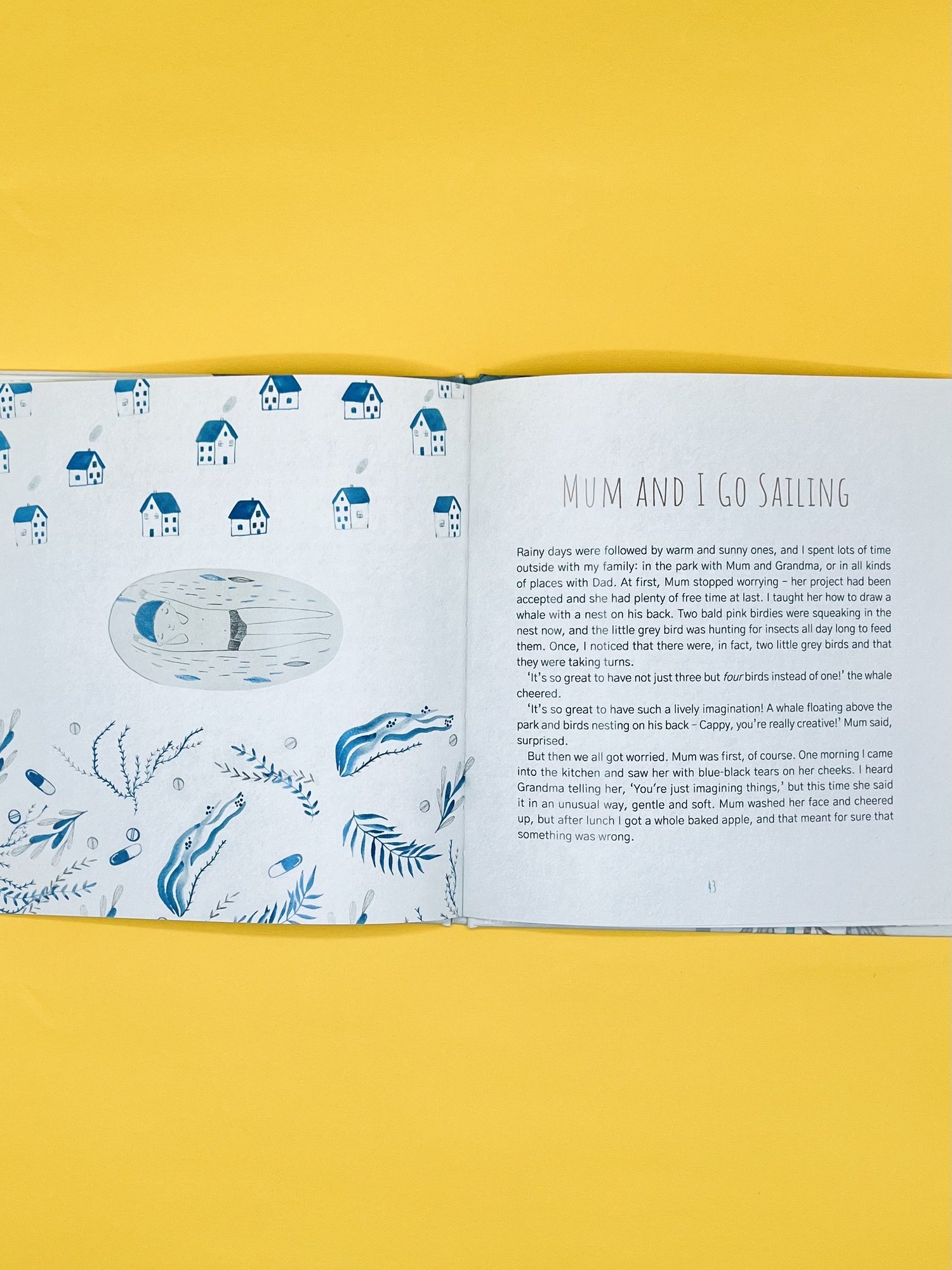 The Comet by Joe Todd Stanton — Moonlight Rainbow Books