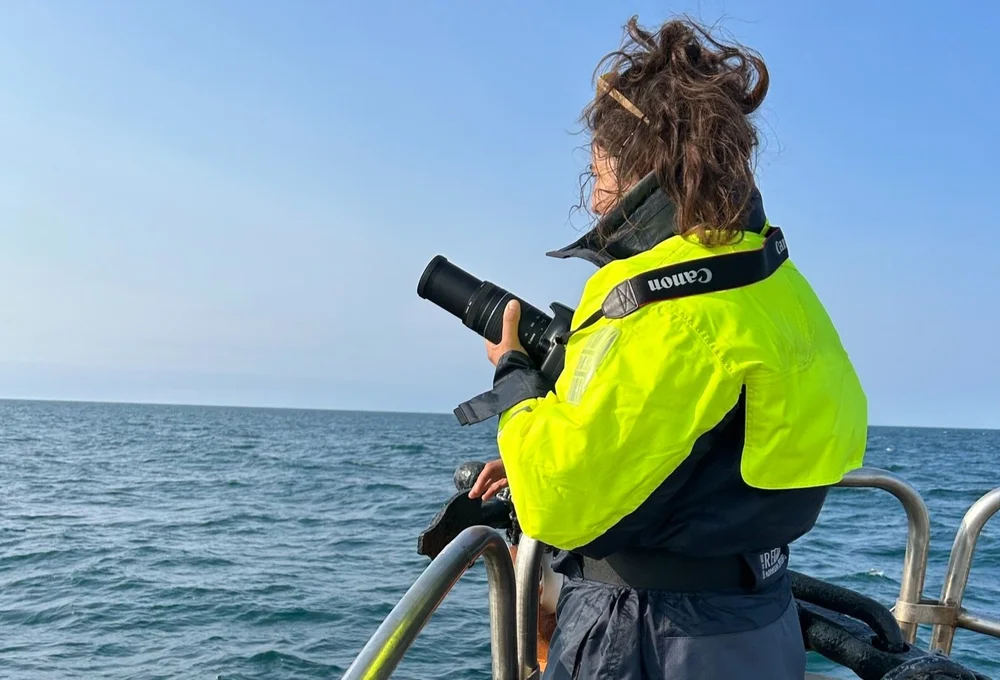 Join our team | Join Our Whale Watching Team - Inspire Travelers ...