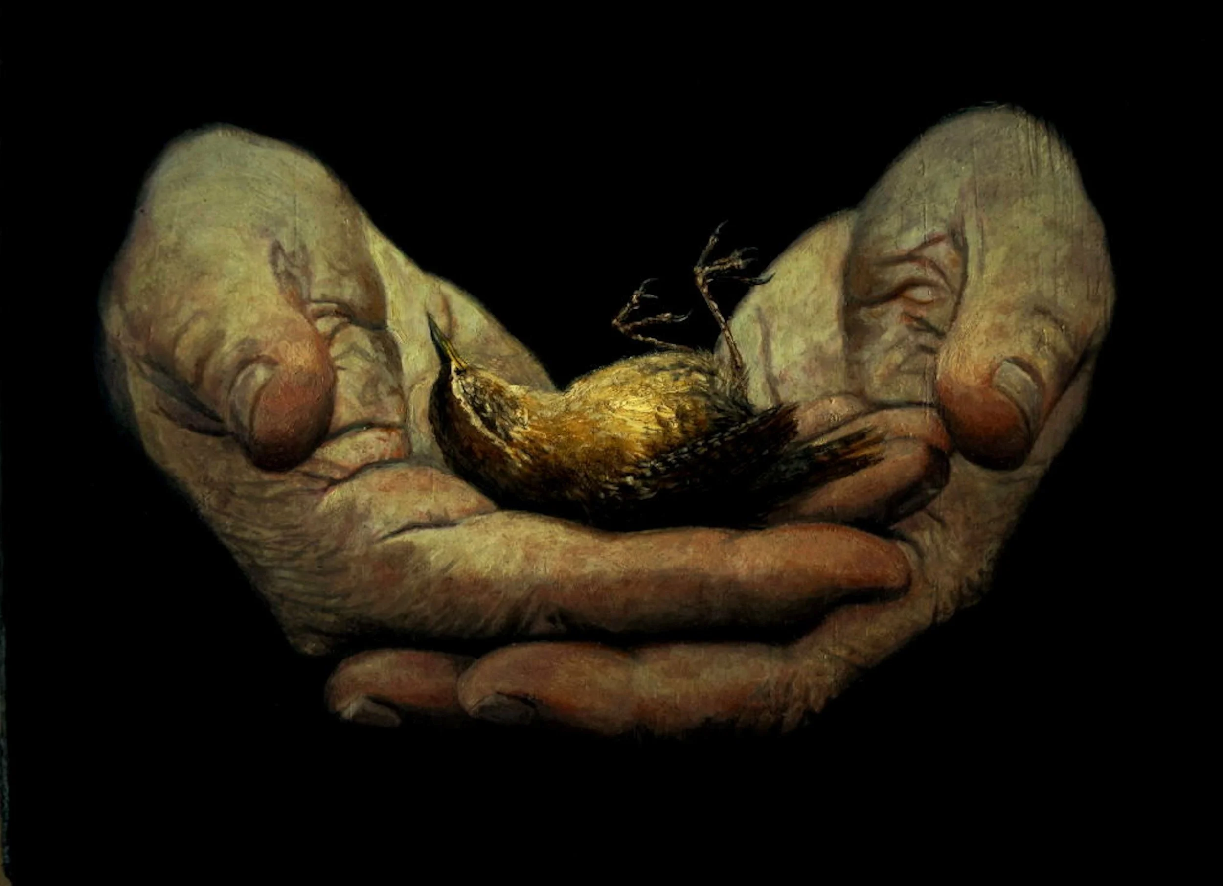 Artist directory — The Lake Artists Society