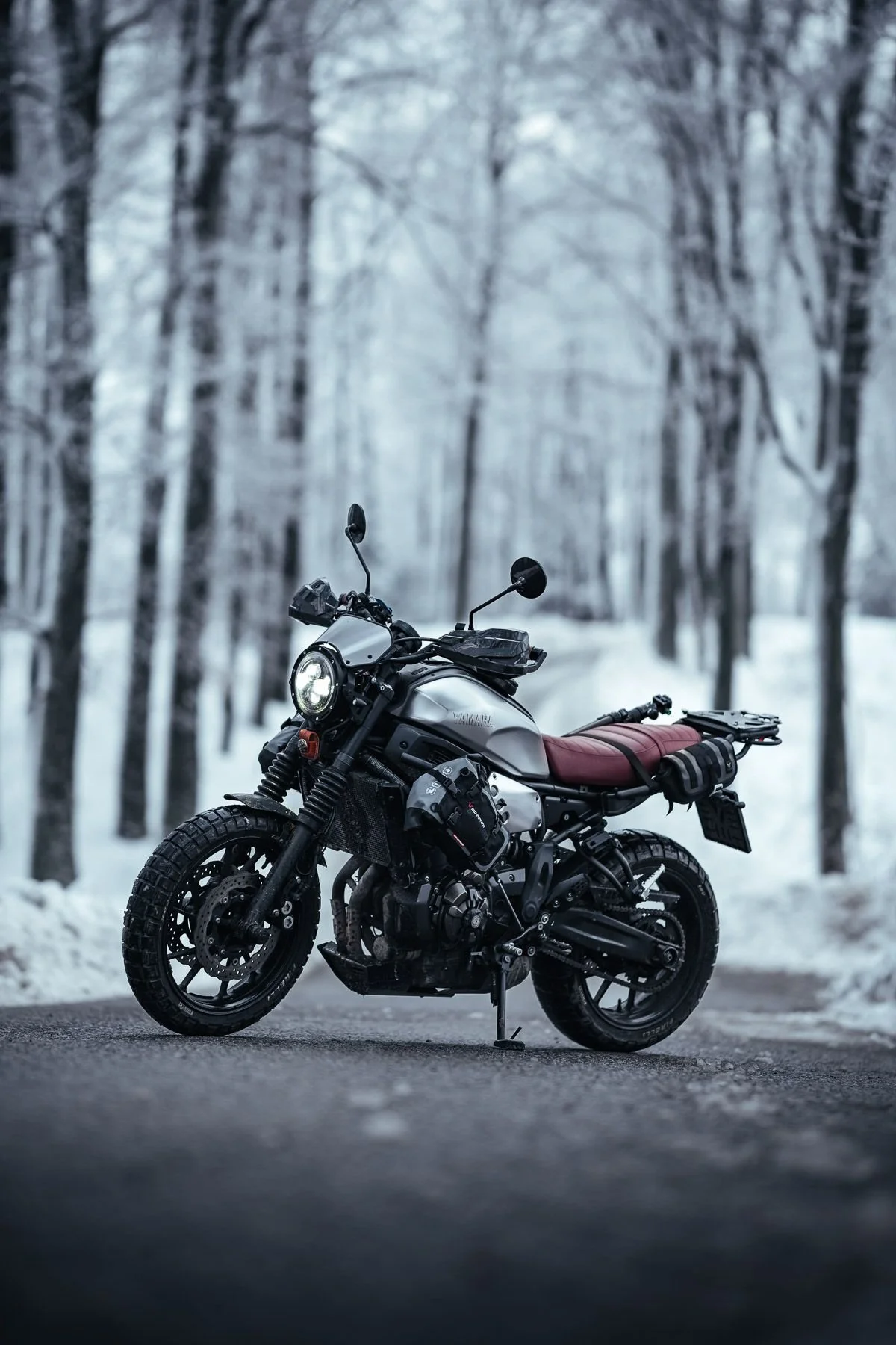 AYA Yamaha XSR 700 | My first motorcycle — AYA Moto Adventures